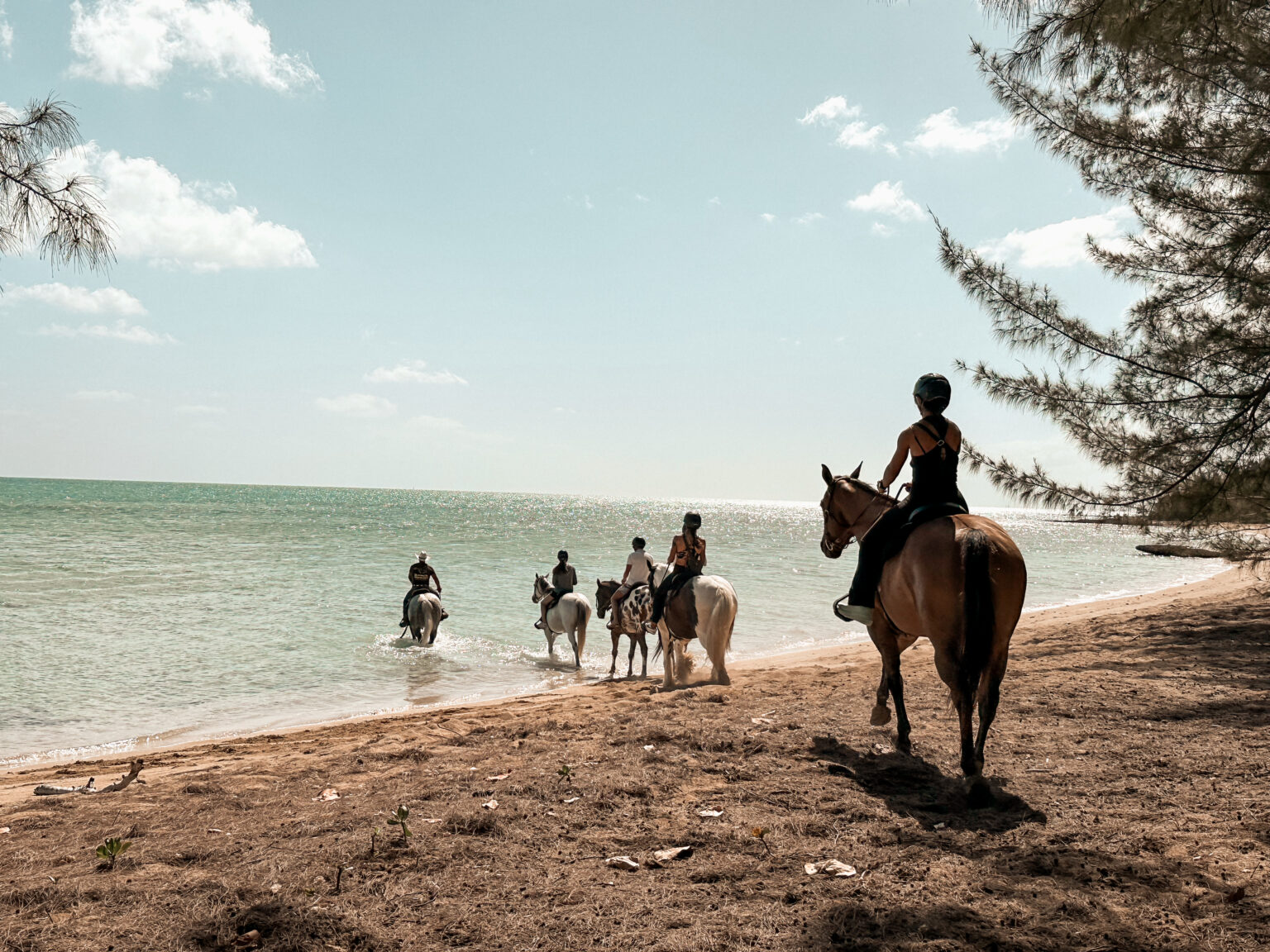 Ranch Resort Bahamas - Horse Riding Nassau Bahamas
