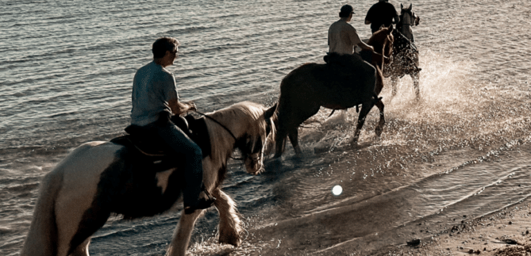 Ranch Resort Bahamas - Horse Riding Nassau Bahamas