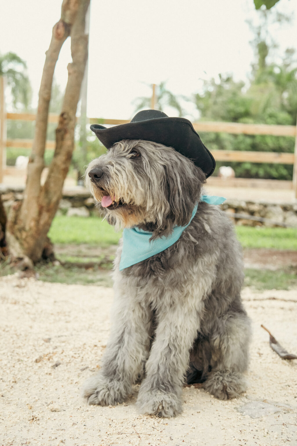 Ranch Resort Bahamas - Horse Riding Nassau Bahamas