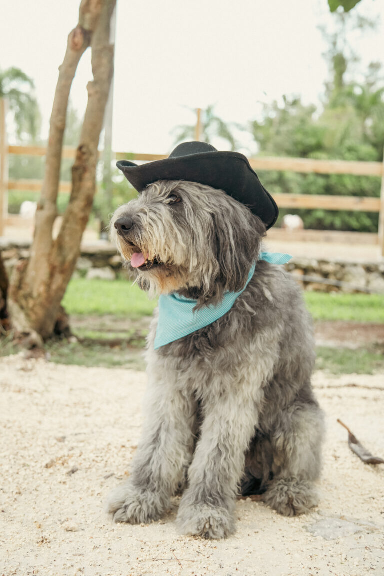 Ranch Resort Bahamas - Horse Riding Nassau Bahamas